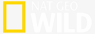 Nat Geo Wild - Nat Geo Wild Hd Logo PNG Image | Transparent PNG Free ...