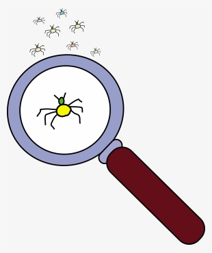 Lens Bug Free Vector Graphic On Pixabay - Investigation Clipart PNG ...