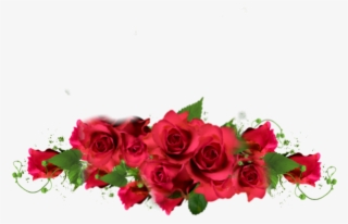 Rose Transparent Png Sticker - Rose Png PNG Image | Transparent PNG ...