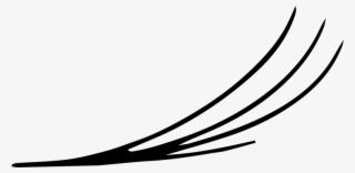 Lashes-03 - Line Art PNG Image | Transparent PNG Free Download on SeekPNG