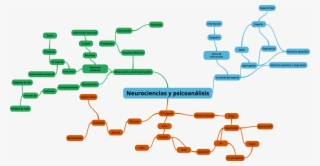 Neurociencias - Diagram PNG Image | Transparent PNG Free Download on ...