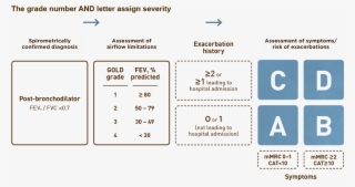 The 2018 Abcd Assessment Tool - Gold Abcd Assessment Tool PNG Image ...