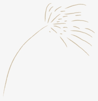 Wind Lines Clip Art PNG Image | Transparent PNG Free Download on SeekPNG