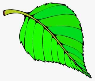 Paper Clipart - Tree Paper Clip Art PNG Image | Transparent PNG Free ...