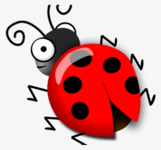 Ladybug PNG Images | PNG Cliparts Free Download on SeekPNG