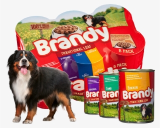 Brandy Traditional Loaf - Bernese Mountain Dog PNG Image | Transparent ...