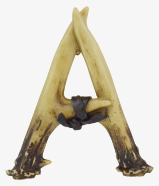 Antler Letters PNG Image | Transparent PNG Free Download on SeekPNG