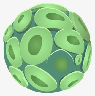 Plant Cell Dendritic Cell Dendrite Organism - Celula Vegetal Png PNG ...