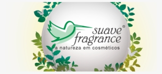 Suave Fragrance Logo - Suave Fragrance PNG Image | Transparent PNG Free ...