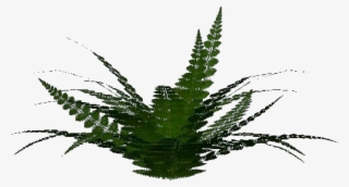 Matojos Png PNG Image | Transparent PNG Free Download on SeekPNG