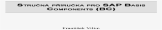 Strun Pruka Pro Sap Basis Components Strun Pruka Pro - Truex PNG Image ...