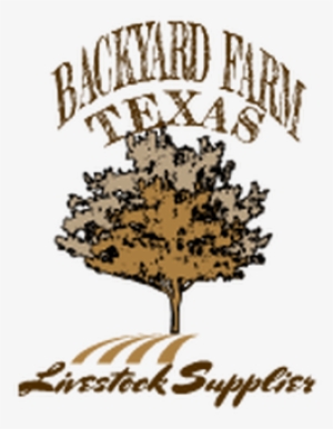 Backyard Farm Texas - Backyard PNG Image | Transparent PNG Free ...