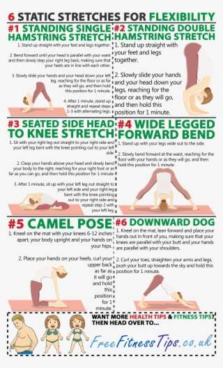 6 Static Stretches For Flexibility - Types Of Stretching Infographic ...