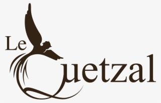 Le Quetzal - Calligraphy PNG Image | Transparent PNG Free Download on ...