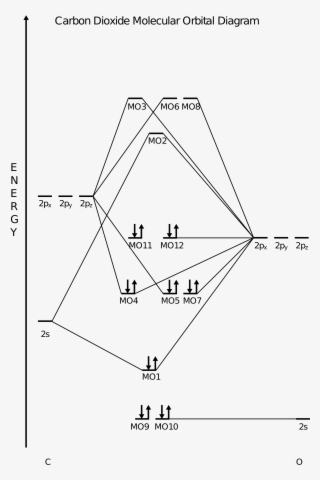 2000 X 2952 3 - Mo Diagram Of Co2 PNG Image | Transparent PNG Free ...
