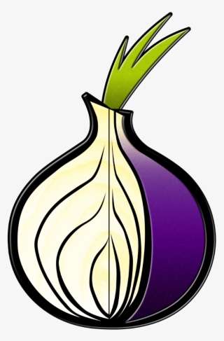 Tor Browser Icon Png PNG Image | Transparent PNG Free Download on SeekPNG