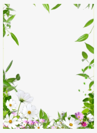 Nature Borders And Frames