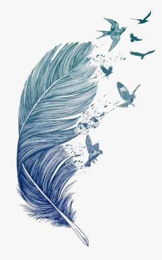 Feathers Flying Away PNG Image | Transparent PNG Free Download on SeekPNG