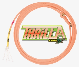 Cactus Ropes Thrilla PNG Image | Transparent PNG Free Download on SeekPNG
