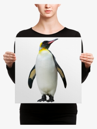 Emperor-penguin Canvas - Canvas Print PNG Image | Transparent PNG Free ...