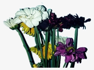Gardenia Sticker - Bouquet PNG Image | Transparent PNG Free Download on ...