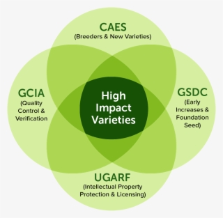 Learn More Systems Approach Infographic - Circle PNG Image ...