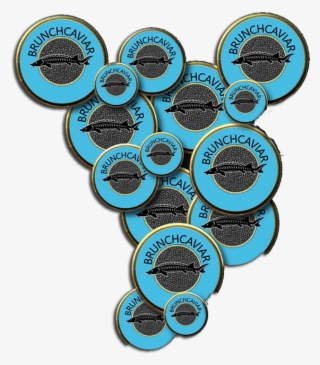 Raisinlogo - Circle PNG Image | Transparent PNG Free Download on SeekPNG