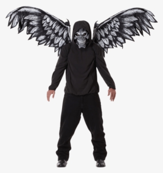 Adult Fallen Angel Mask And Wings PNG Image | Transparent PNG Free ...