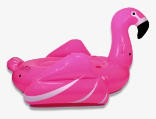 Flamingo Pool Float - Flamingo Floatee Transparent PNG Image ...