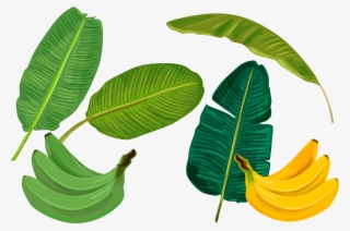 Kerala Sadhya Sadhya - Onam Sadhya Banana Leaf Png PNG Image ...