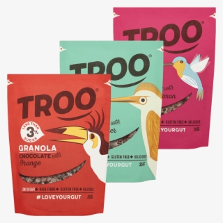 Troo - Flyer PNG Image | Transparent PNG Free Download on SeekPNG