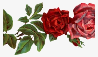 Drawn Red Rose Tumblr Banner - Red Rose Crown Transparent Background ...
