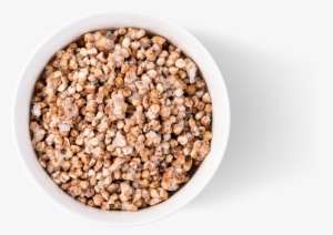 Sorghum PNG Image | Transparent PNG Free Download on SeekPNG