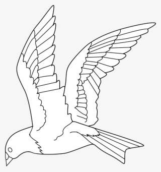 Birds In Flight Coloring Pages