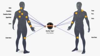 75” Massage Surface With 3 Trigger Point Curves - Hip Massage Ball PNG ...