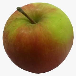 Picture - Mcintosh PNG Image | Transparent PNG Free Download on SeekPNG
