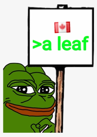 Smug Frog - Smug Pepe Transparent Background PNG Image | Transparent ...