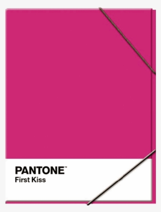 Download Carpeta Pantone Con Elástico Especial - Pantone 382c ...