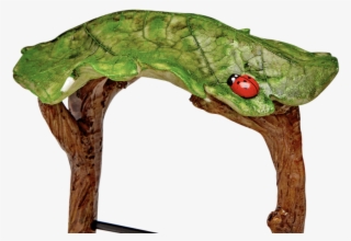 Fairy Wishing Well - Red-eyed Tree Frog PNG Image | Transparent PNG ...