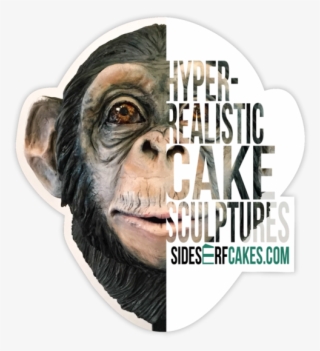 Chimp Sticker - Common Chimpanzee PNG Image | Transparent PNG Free ...