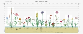 Visual Ibulb Zomer Zonder Pijltjes Transparant - Zomerbollen Kalender ...