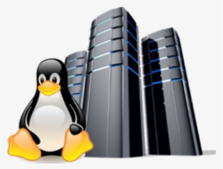 Linux Hosting Clipart Penguin - Cloud Server Icon Png PNG Image ...