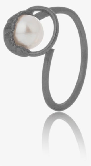 Titanium Ring PNG Image | Transparent PNG Free Download on SeekPNG