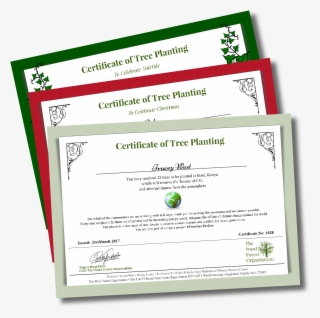 Tree Gift Certificates - Acre Of Land Certificate PNG Image ...