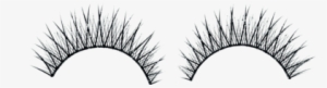 Fake Eyelashes Png Image Royalty Free Library - Eyelash Extensions PNG ...