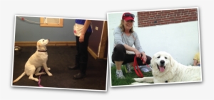 Dog Owners - Dog Family PNG Image | Transparent PNG Free Download on ...