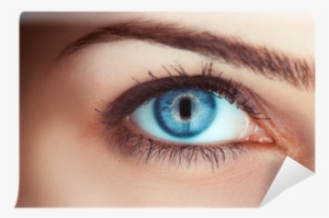 Close Up Photo Of Woman's Blue Eye Wall Mural • Pixers® - เขม่น ตา PNG ...