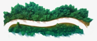 Forest Path Front - Tree PNG Image | Transparent PNG Free Download on ...