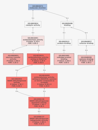 Functional Enrichment Analysis - Diagram PNG Image | Transparent PNG ...