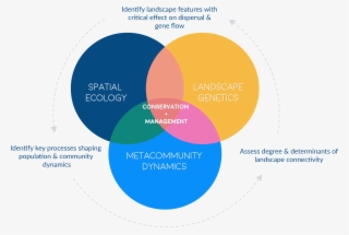 Research Interests - Diagram PNG Image | Transparent PNG Free Download ...
